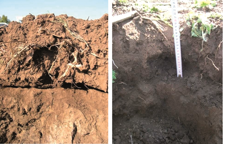 How tracks can ease the pressure on compacted soil and increase yields ...